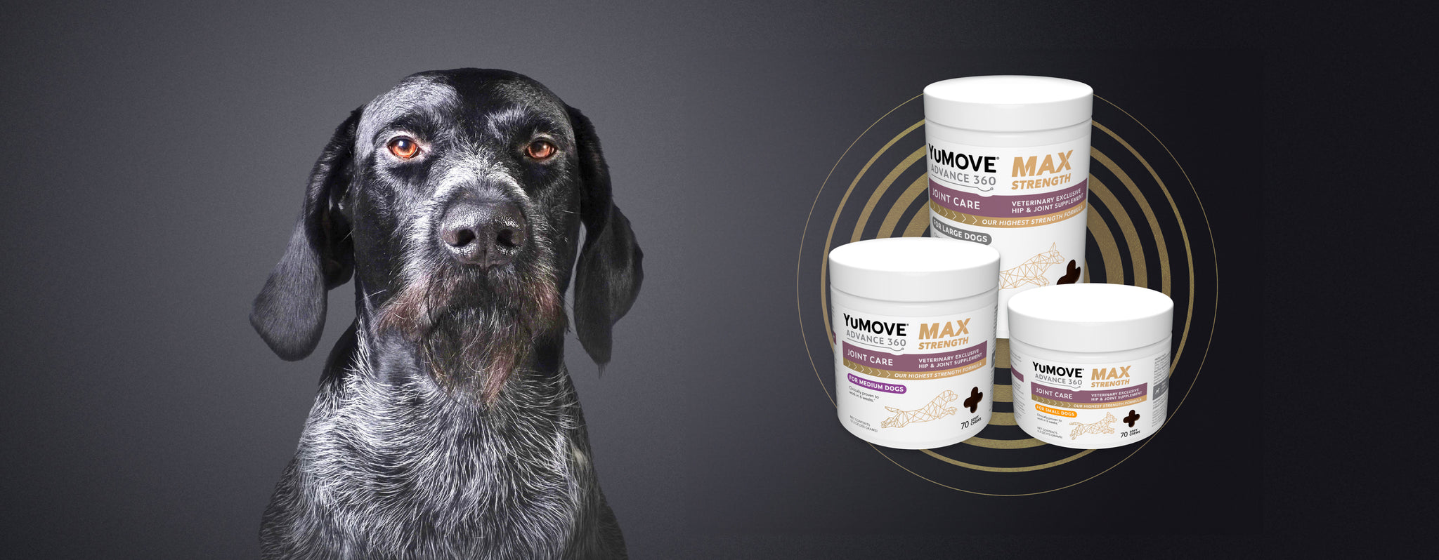 Introducing NEW YuMOVE ADVANCE 360 Max Strength for Dogs