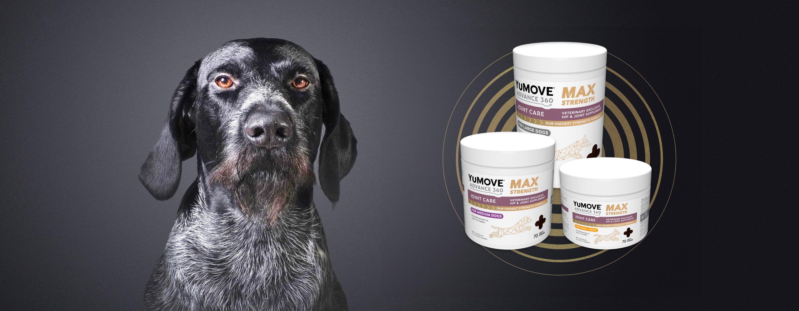 Introducing NEW YuMOVE ADVANCE 360 Max Strength for Dogs