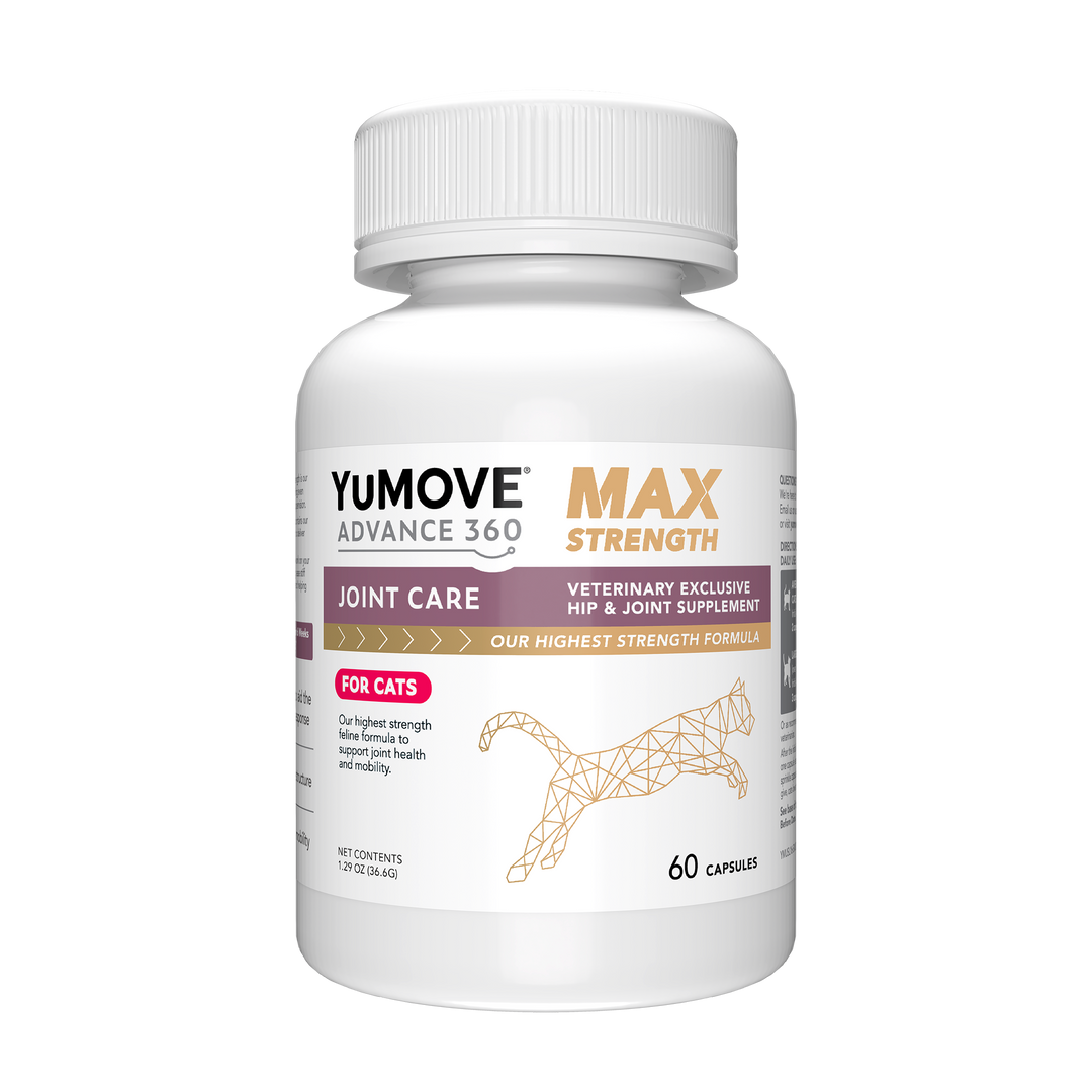 YuMOVE ADVANCE 360 Max Strength Hip & Joint Supplement for Cats